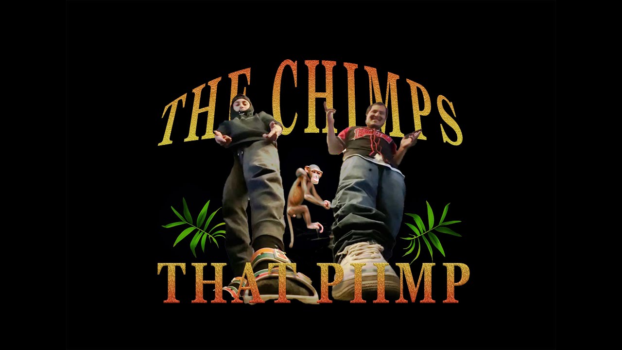 Pimp Chimpin 5 - YouTube