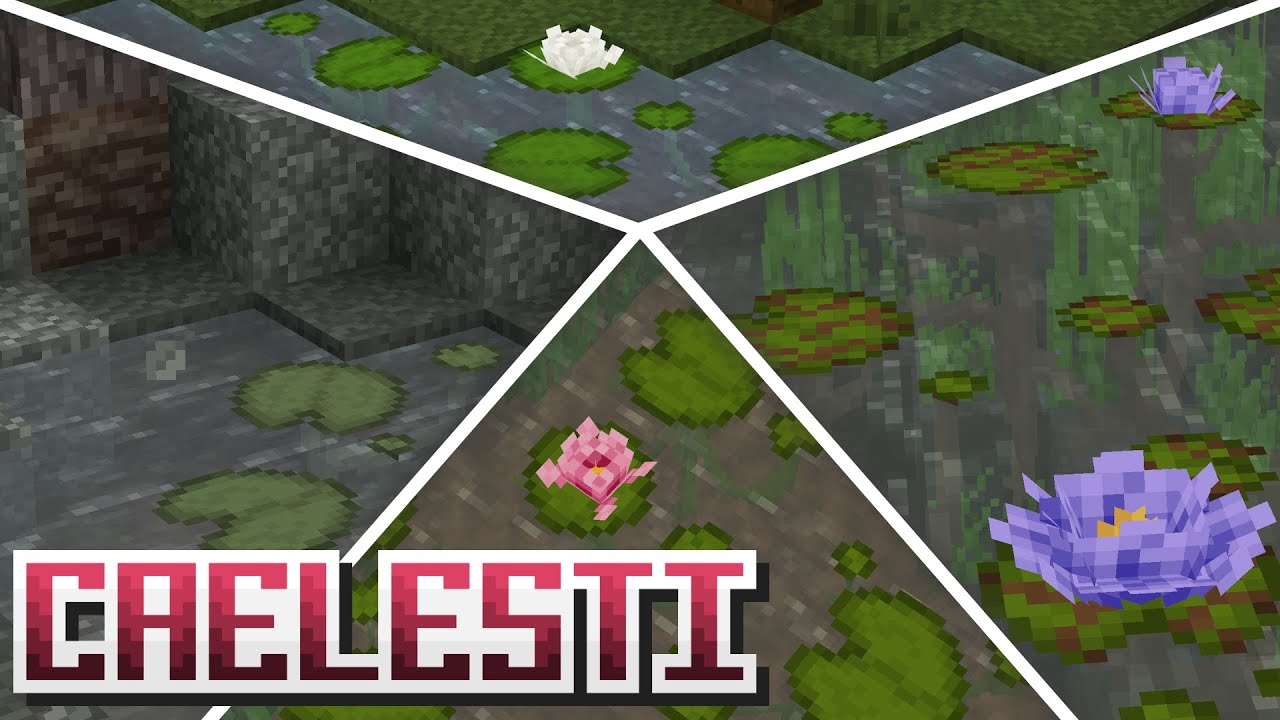 Lily Pads The Caelesti Way - YouTube