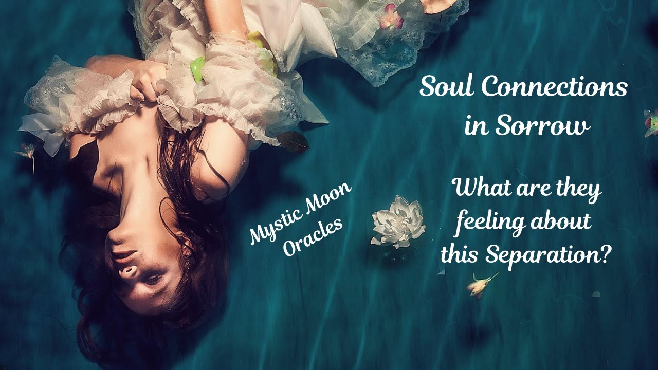 Soul Connections in Sorrow - What are they feeling about this ...