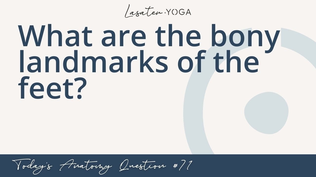 Today’s Anatomy Question #71: What are the bony landmarks of the feet ...