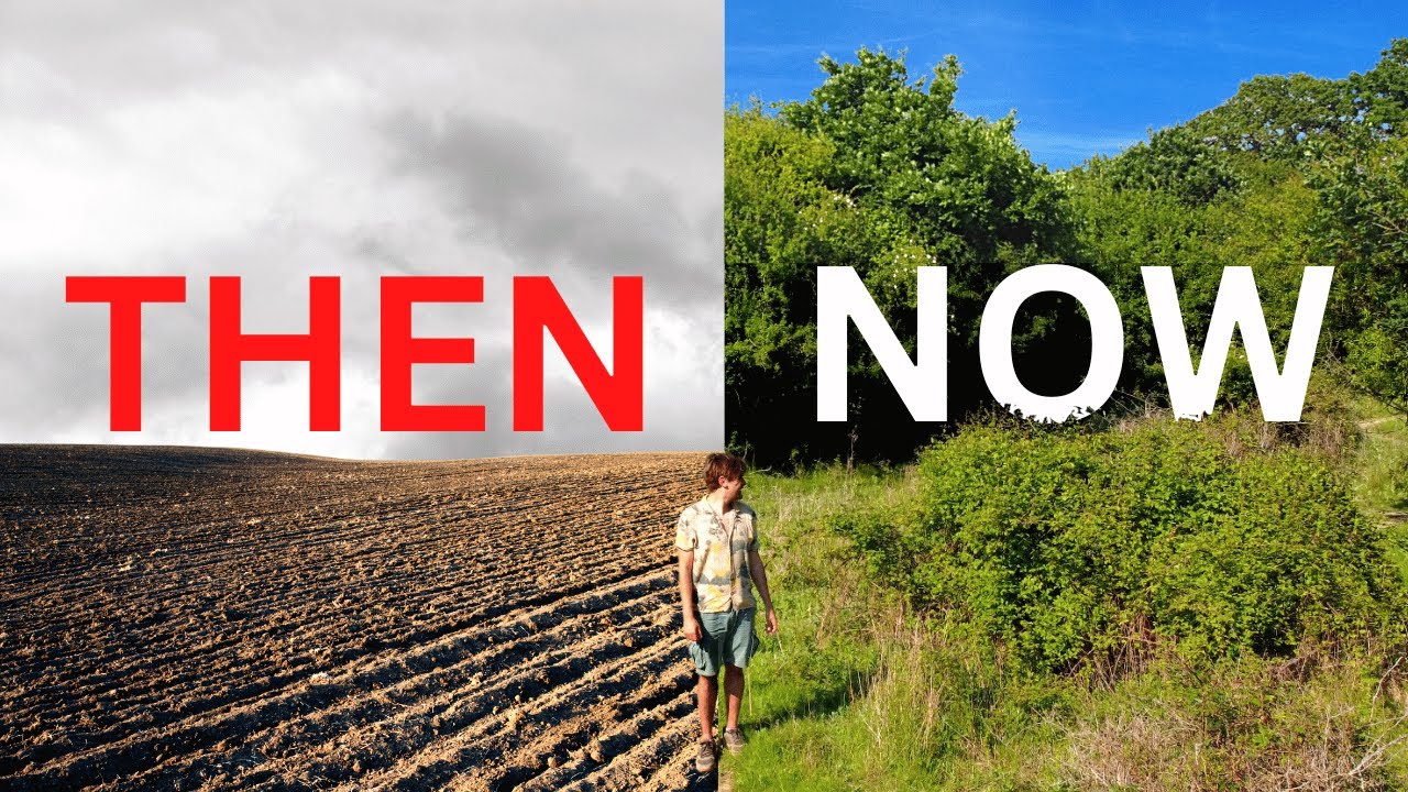 They transformed this dead land to wilderness - YouTube