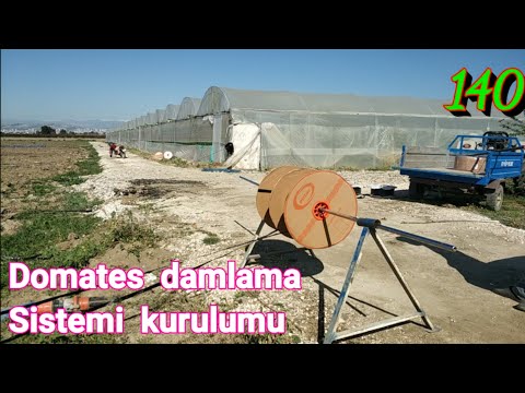 140 Domates ekimi damlama sistemi kurulumu hakkında pratik ve teknik bilgiler püf noktaları