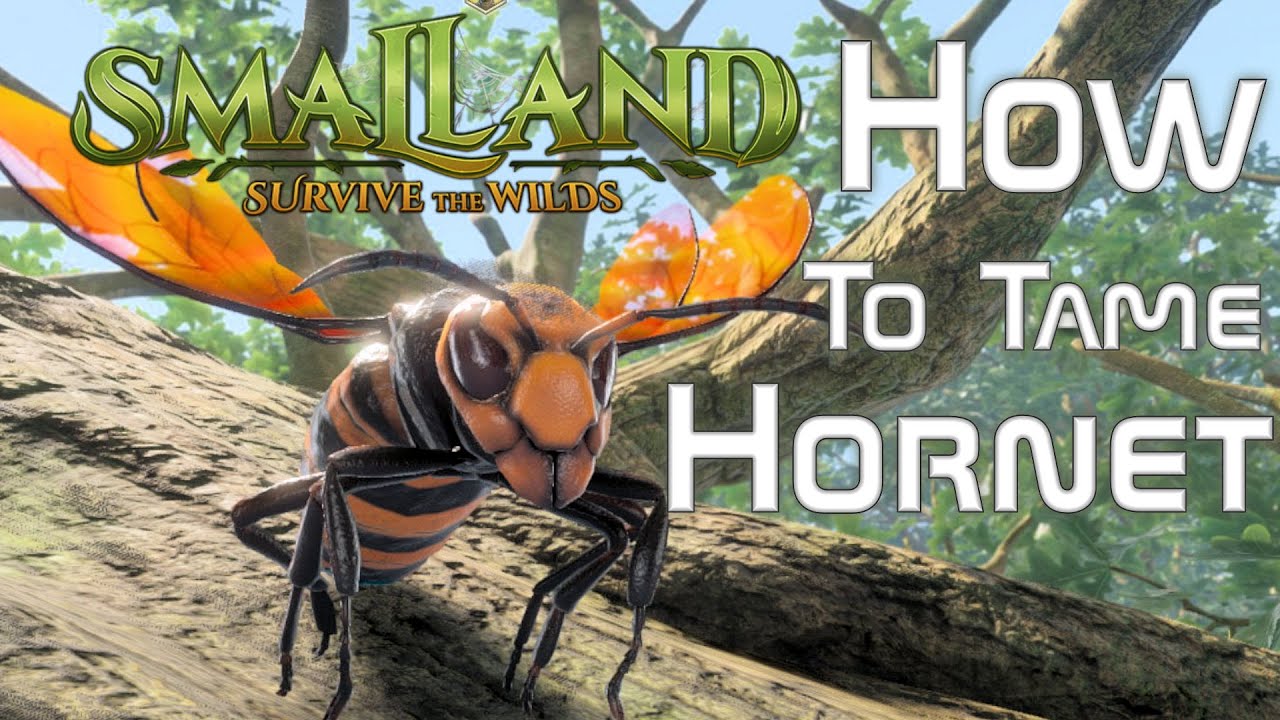 Smalland | How to tame the Hornet || Find the Historian - YouTube