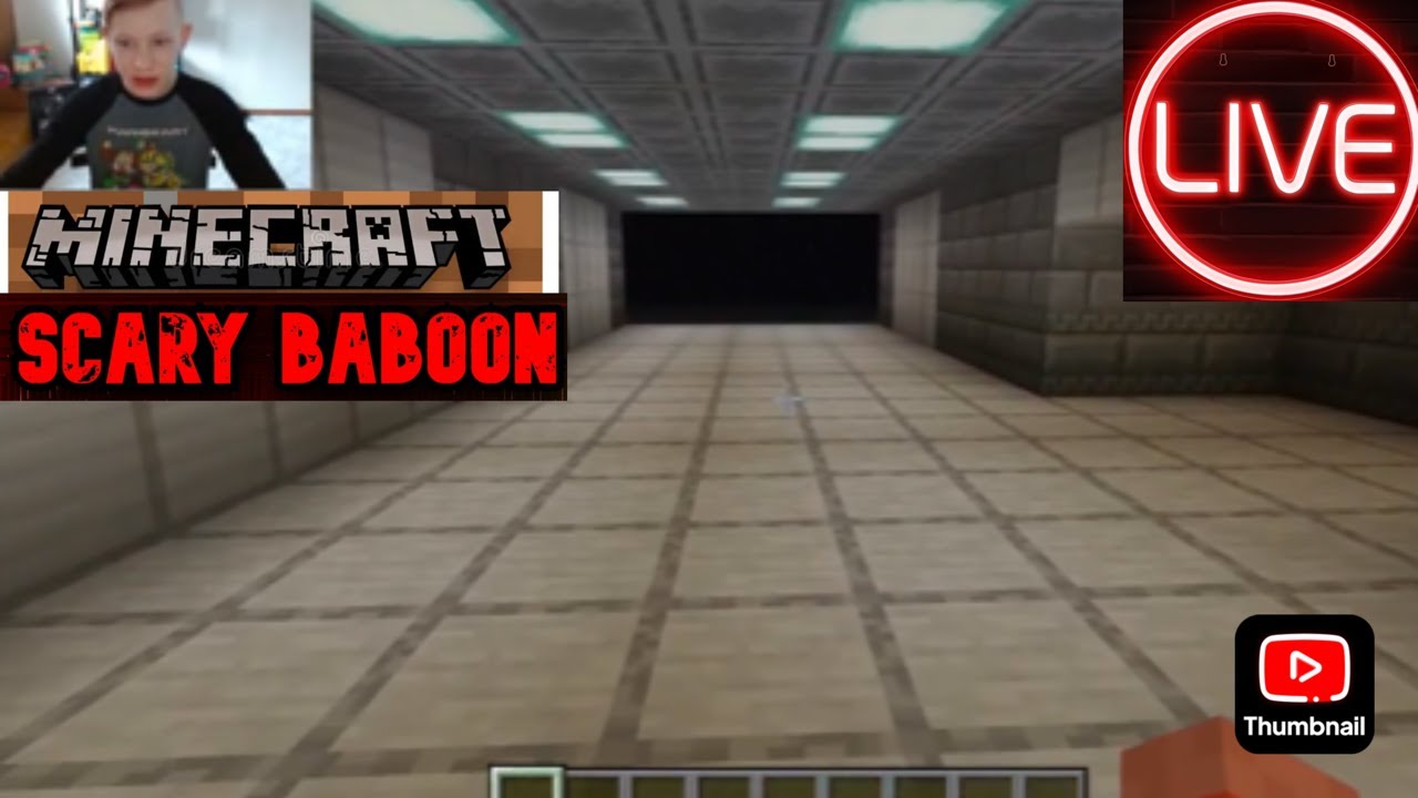 Minecraft : building the Scary Baboon Map Live - YouTube