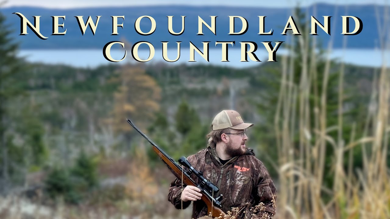 Hunting Moose & Small Game From a Remote Cabin in Newfoundlands Country ...