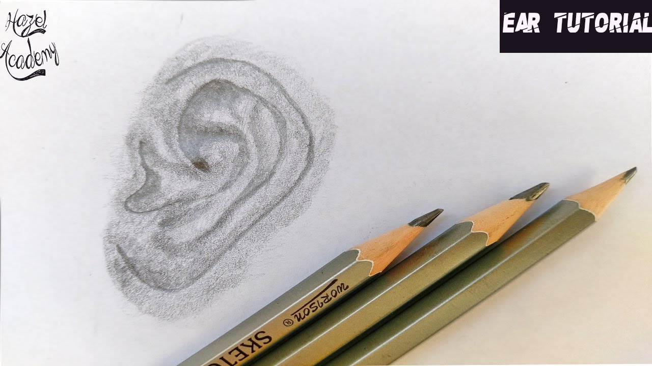 How to Draw An ear for beginners - Step by Step / Easy way to draw ...