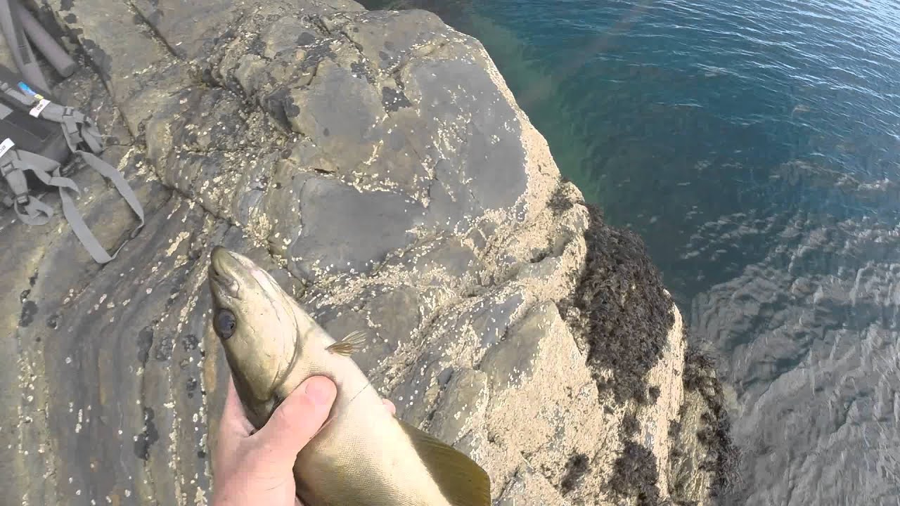Fly Fishing Off the rocks for Pollack in Laxey Isle of Man 2 - YouTube
