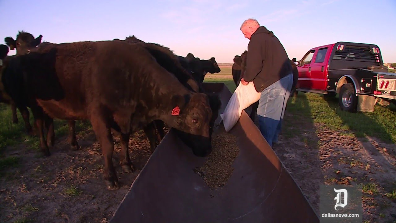 Year round farming operation Harvest to House - YouTube