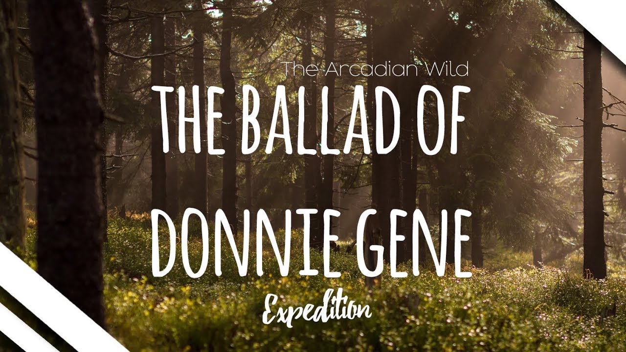 The Arcadian Wild - The Ballad of Donnie Gene - YouTube
