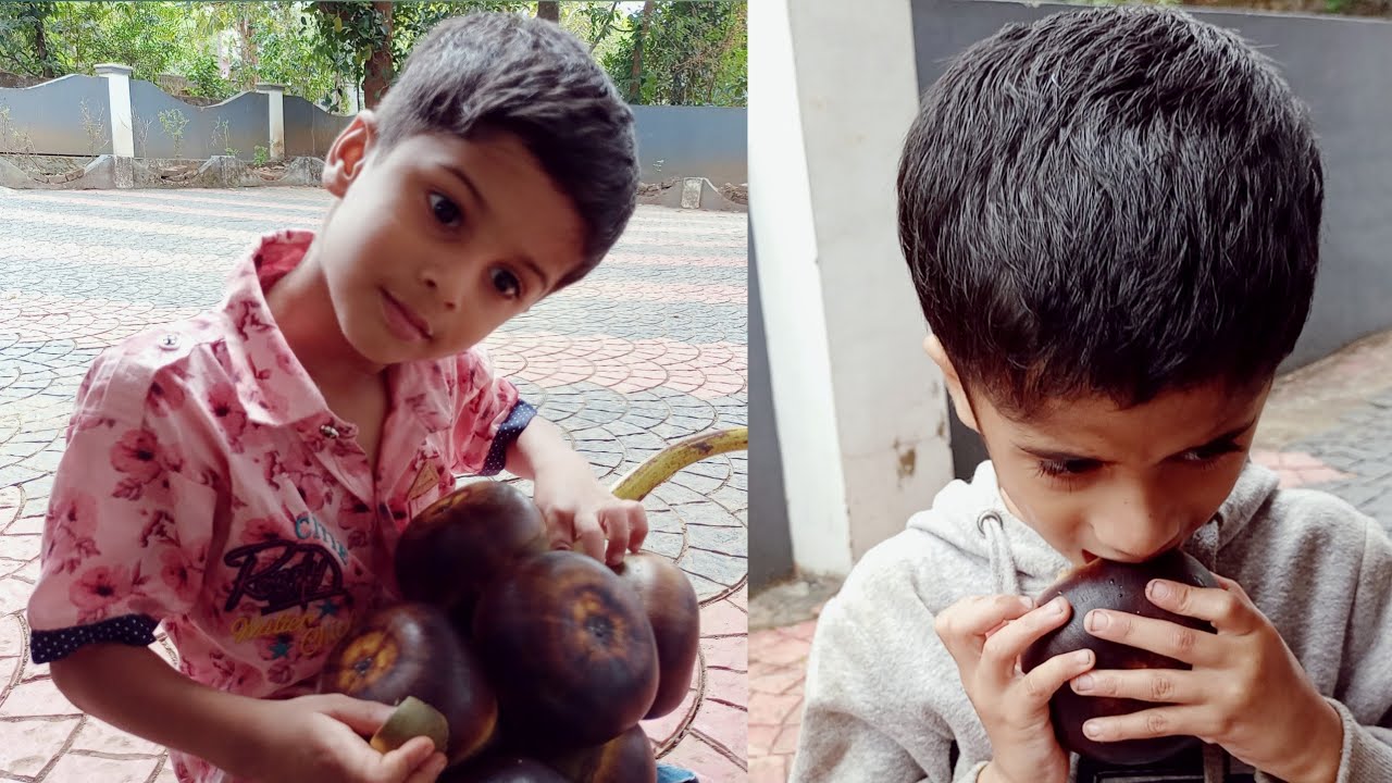 Palm fruit ll Panam Pazham ll # healthy and delicious fruit# - YouTube