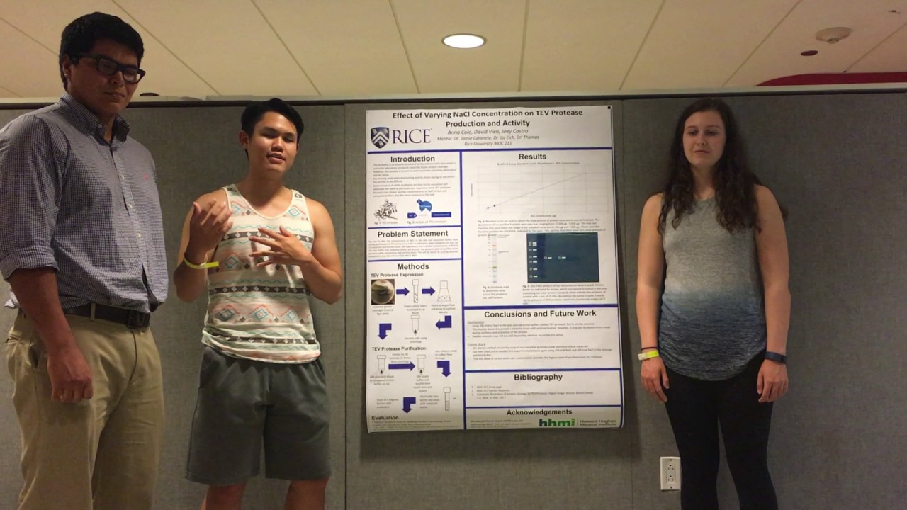 TEV PROTEASE BIOC 211 - YouTube