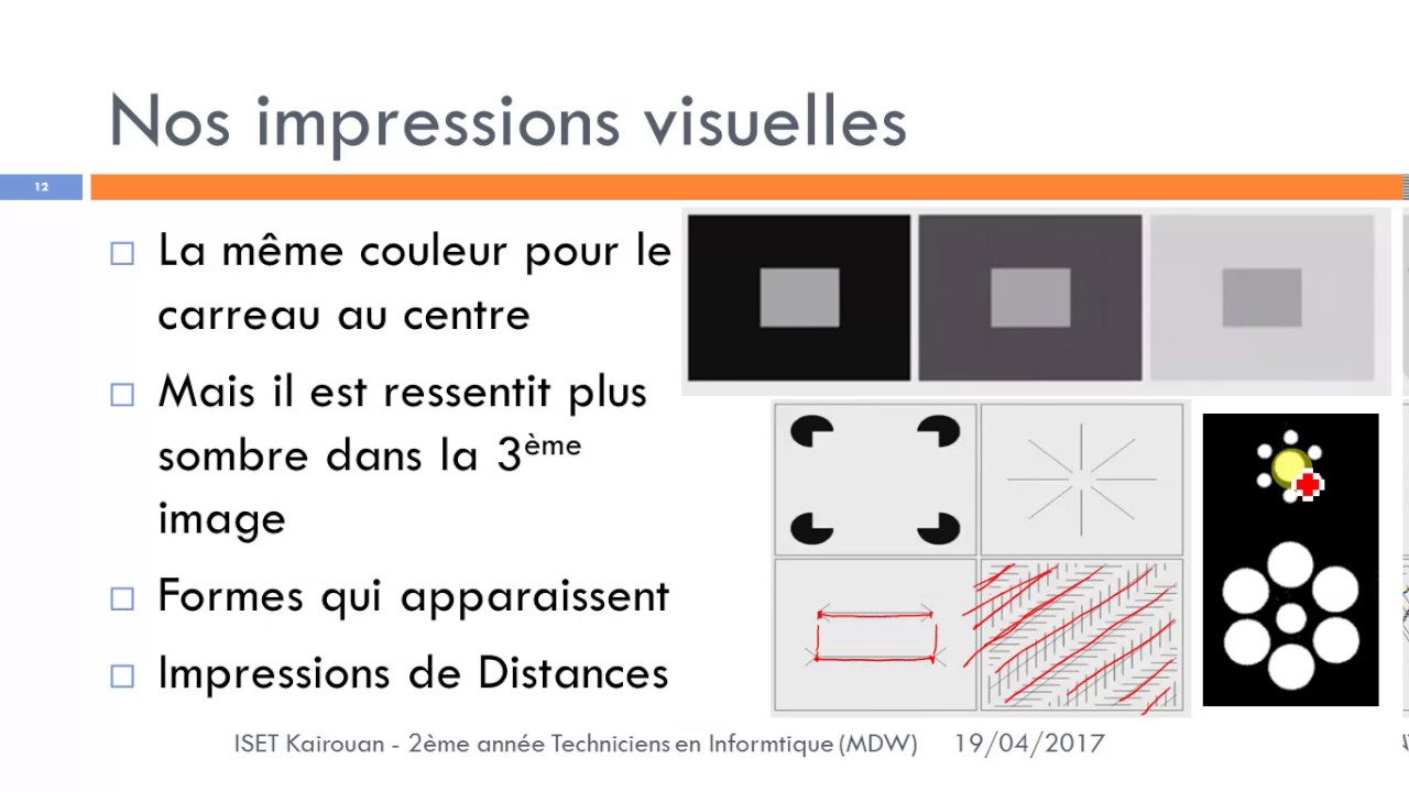 Système visuel humain - YouTube