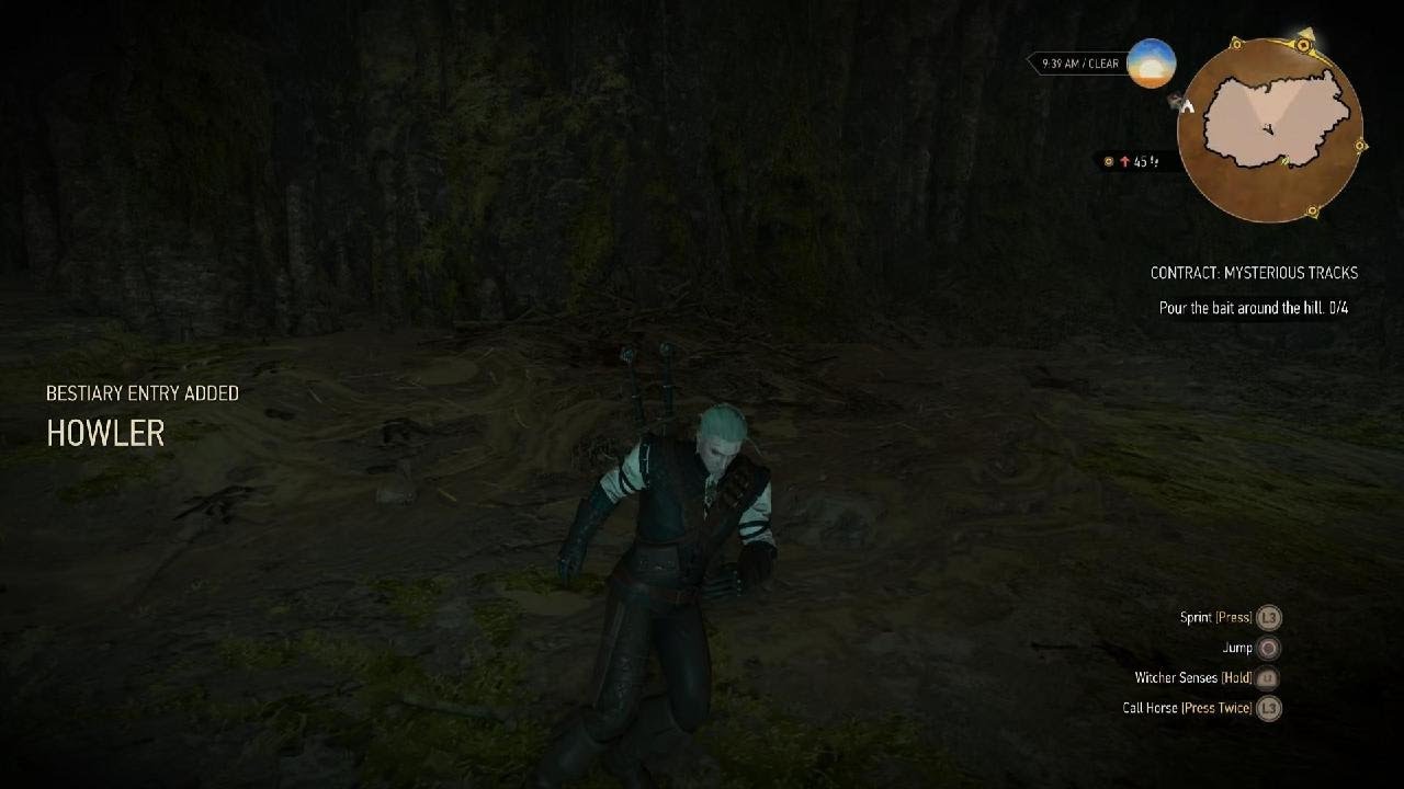 The Witcher 3: Wild Hunt – Complete Edition - Howler Boss Fight - YouTube