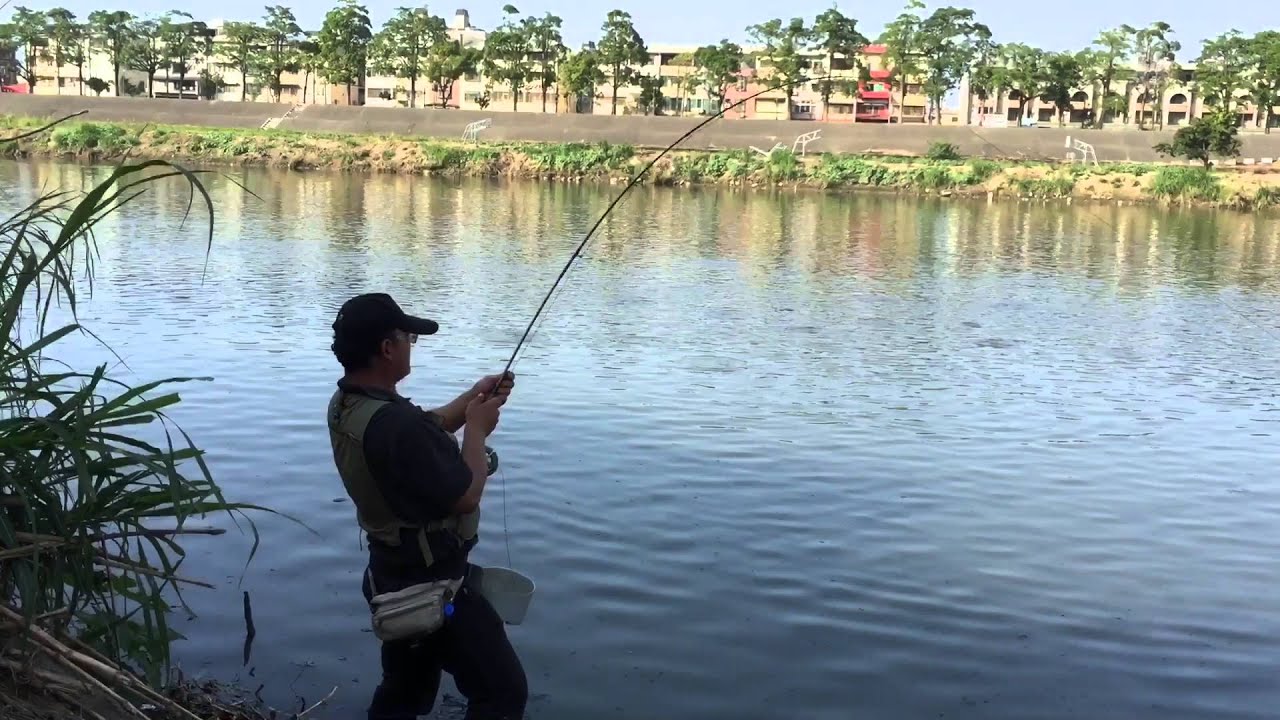 Milkfish on fly in Taiwan - YouTube