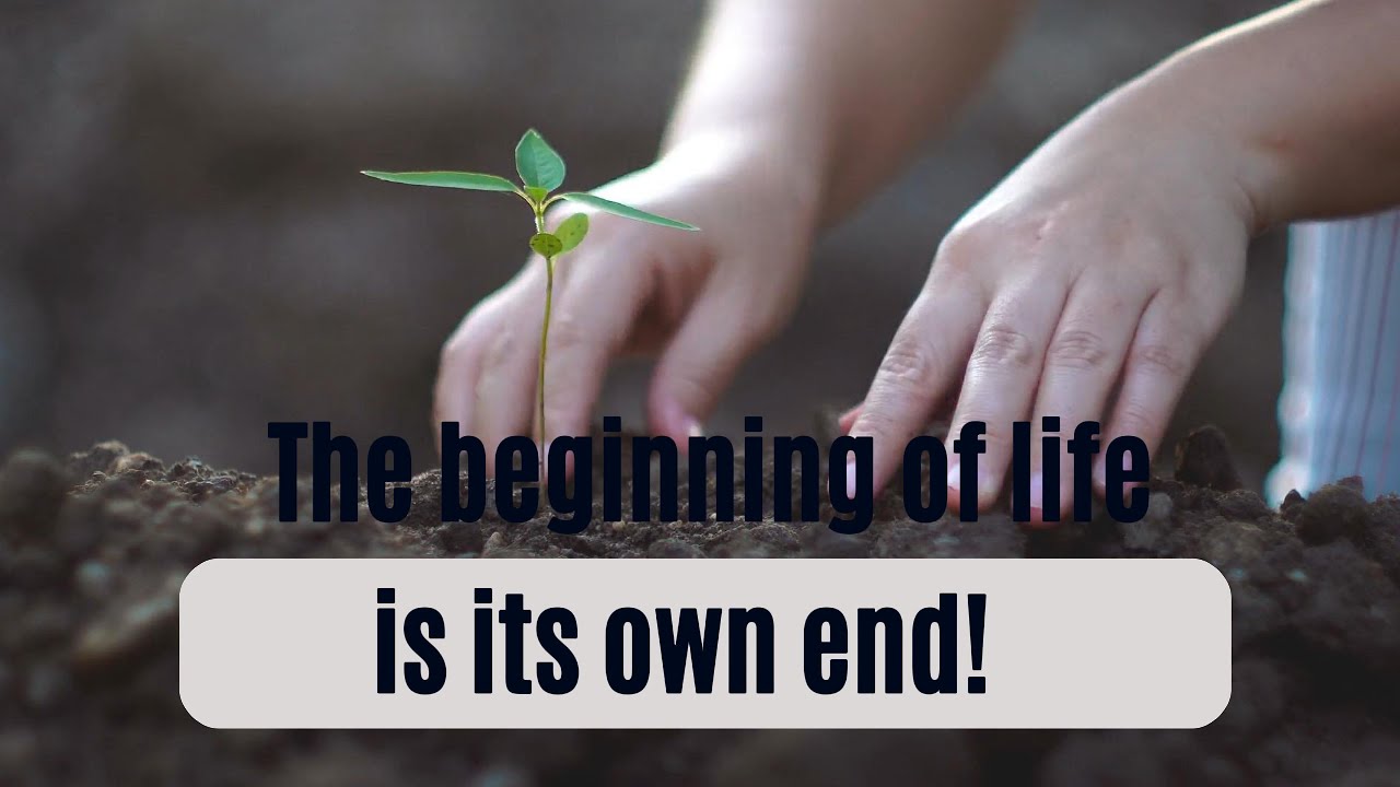 The Beginning of Life is Its Own End - YouTube