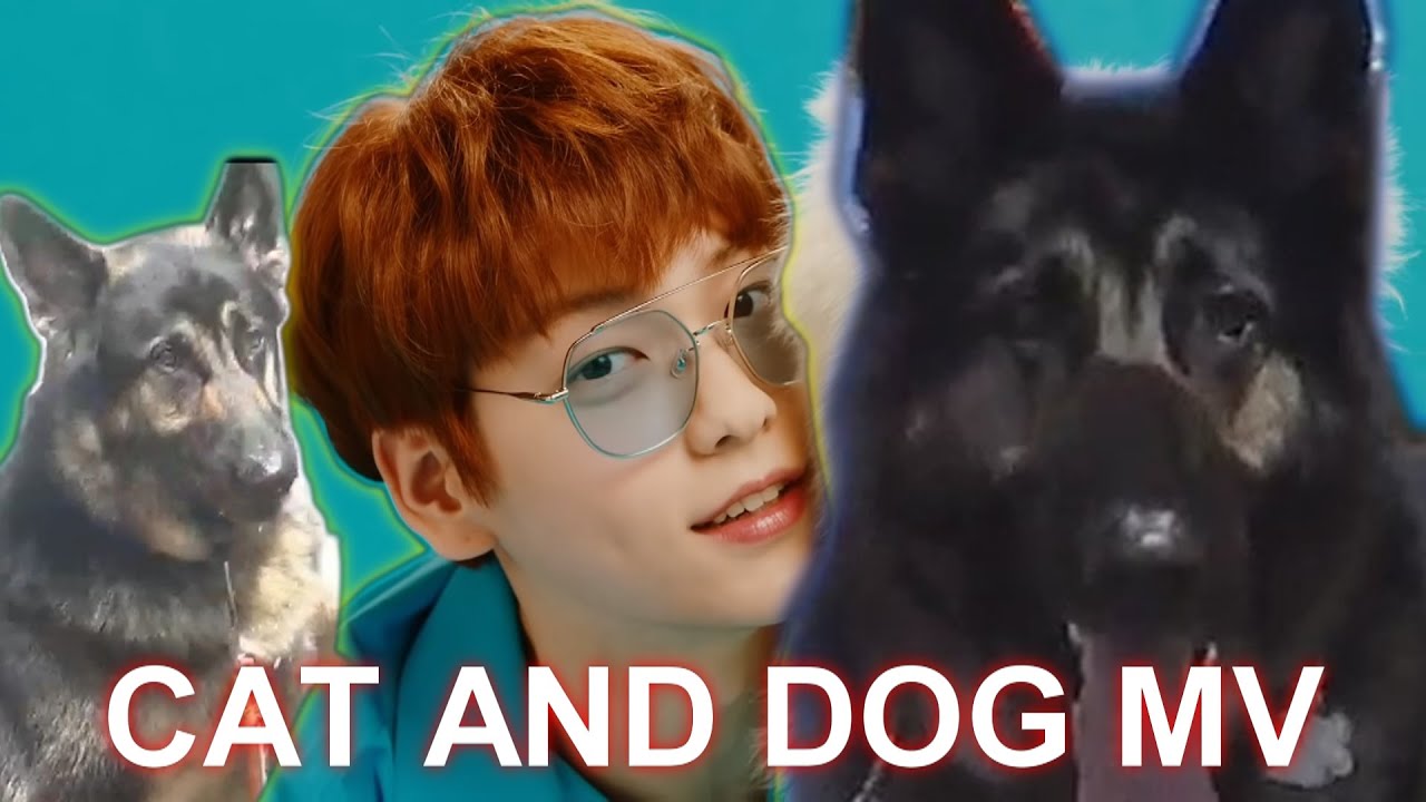TXT- Cat & Dog MV Fan Made version - YouTube