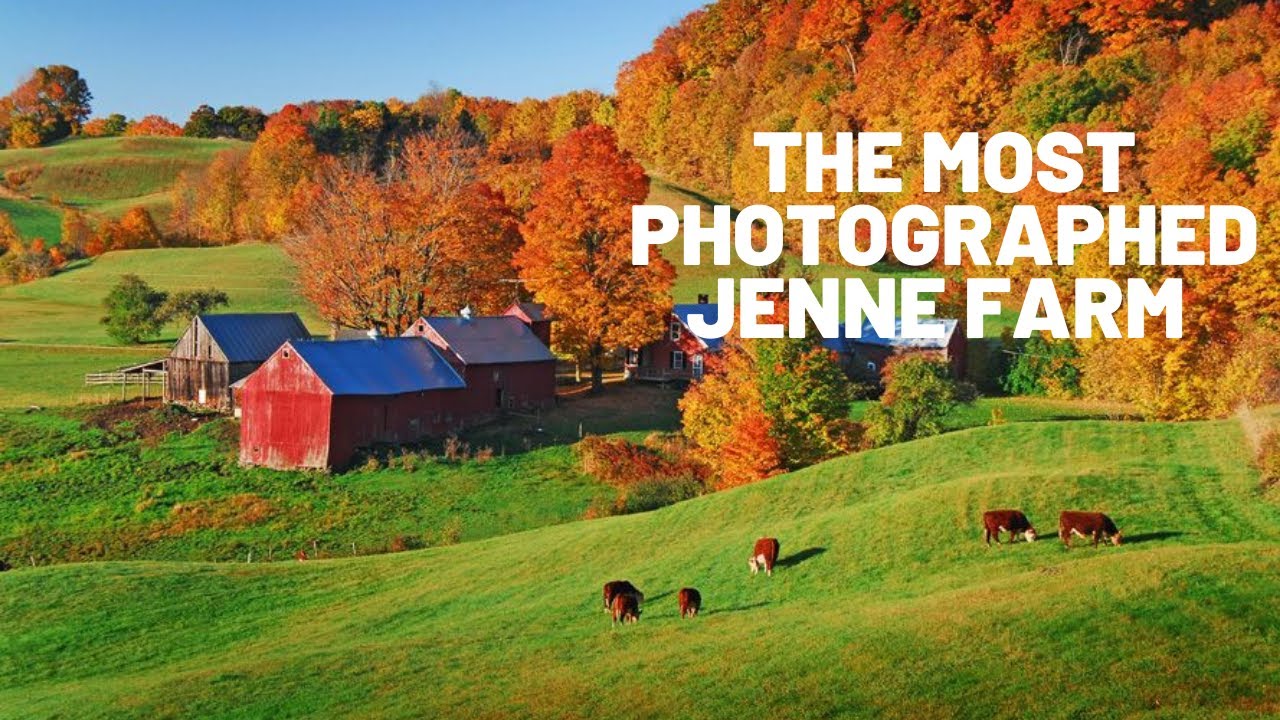 அமெரிக்காவில் அதிகமான புகைப்படம் எடுக்கப்பட்ட பண்ணை| The Most ...