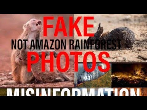 TRUTH ABOUT AMAZON RAINFOREST WILDFIRE FAKE PHOTO & MISINFORMATION in ...