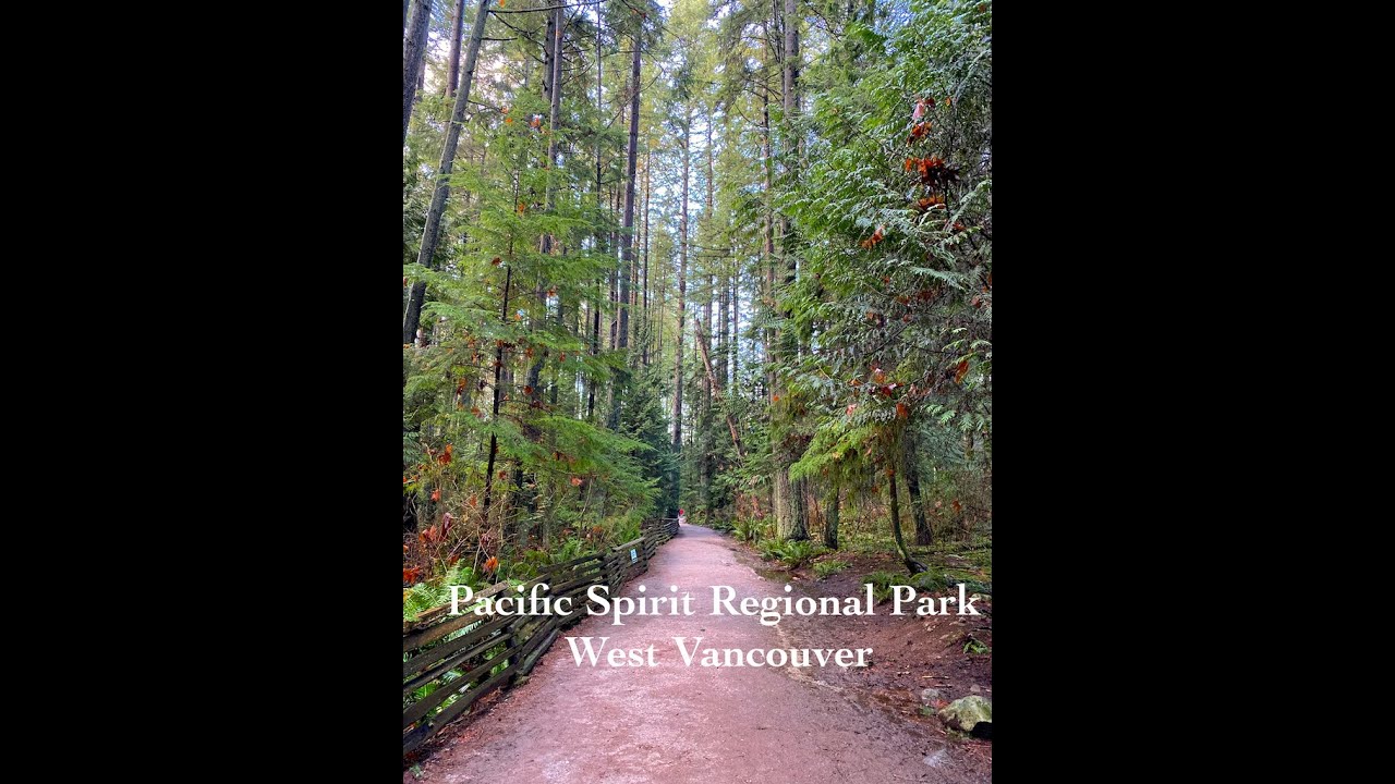 Pacific Spirit Regional Park | West Vancouver Trails| Sasamat - Clinton ...