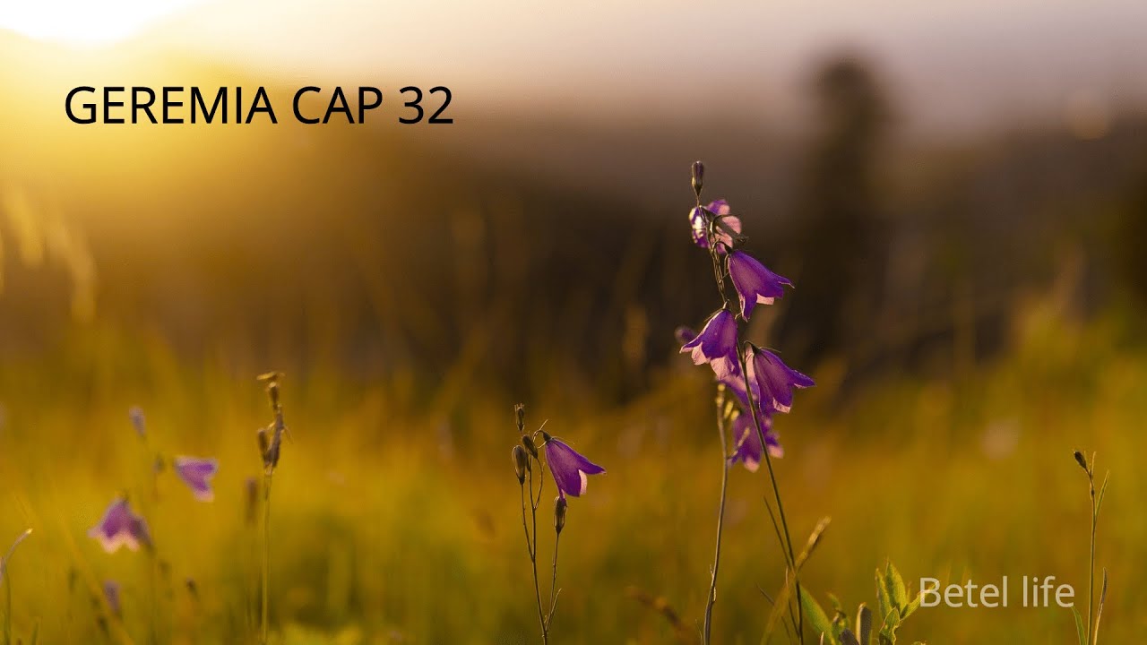 GEREMIA CAP 32 LETTURA BIBBIA AUDIOE E VIDEO GEREMIA ACQUISTA UN CAMPO ...