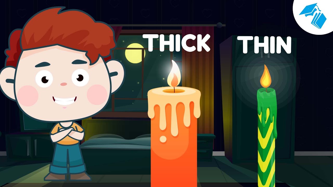 Concept / Thick and Thin / Kids Special Learning | IBLIB Educations ...