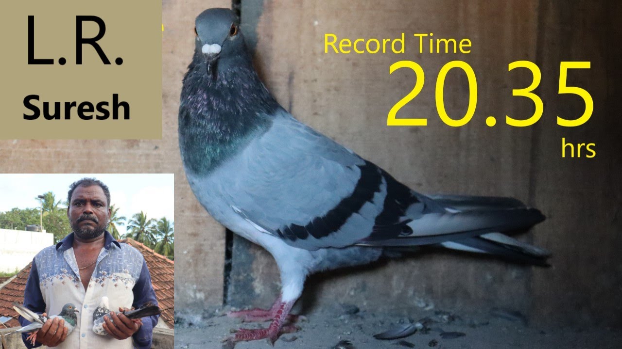 L.R.SURESH TIME 20.35 hrs - YouTube