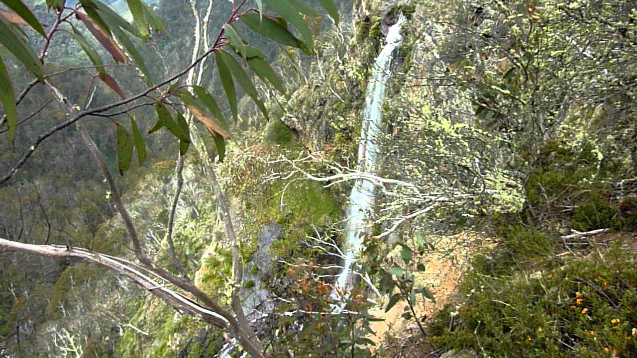 Pieman falls. - YouTube