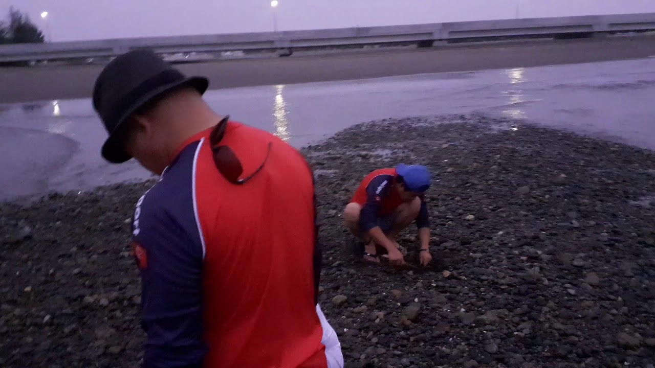 Picking sea shell al seeb beach - YouTube