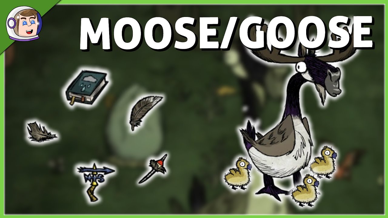 Proč je tak důležitá Moose/Goose? | Don't Starve Together | Boss ...