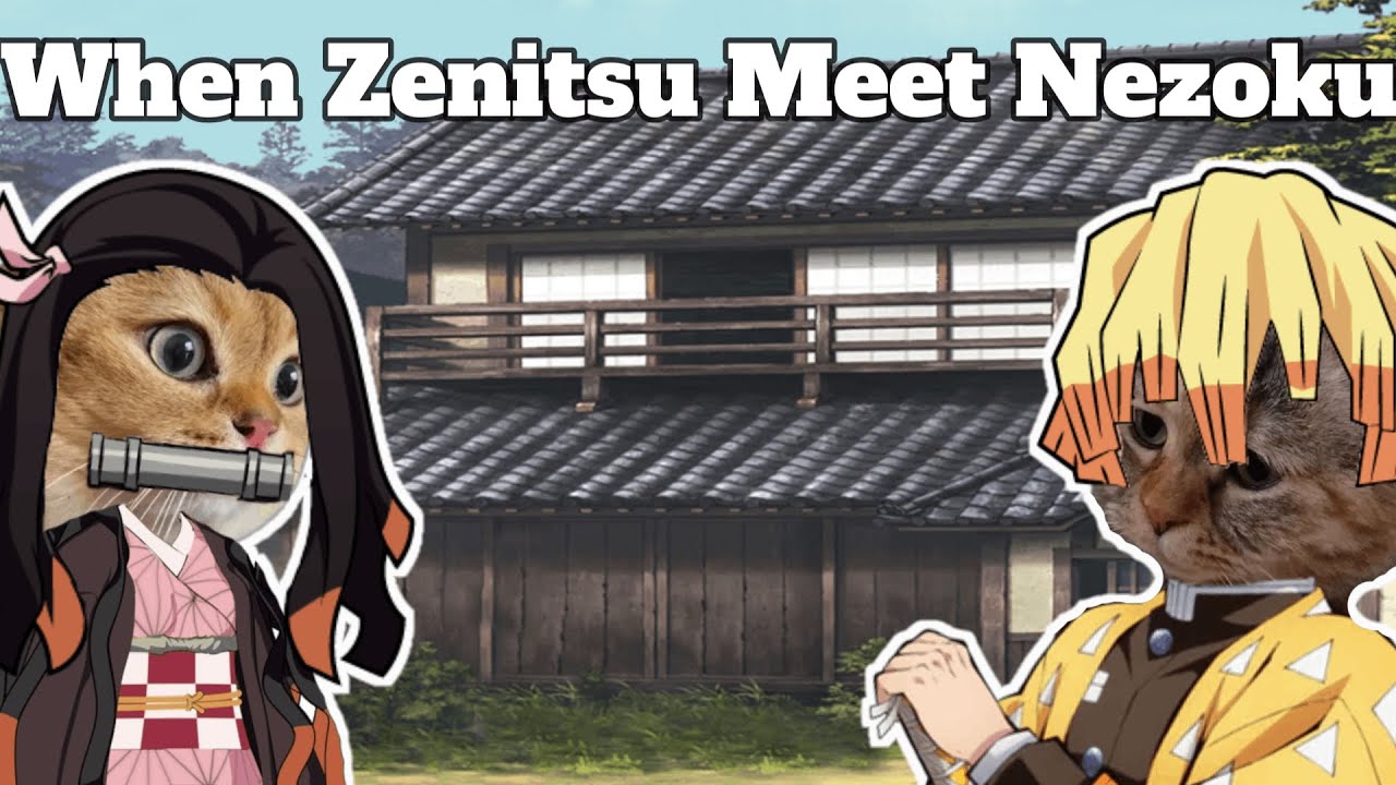 Demon Slayer : Zenitsu X Nezuko - CAT MEMES - YouTube