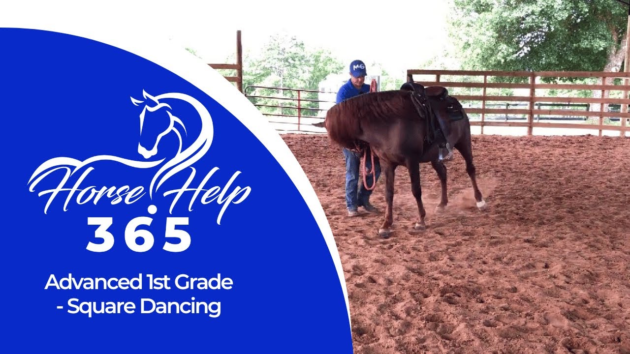 Advanced 1st Grade - Square Dancing | Horse Help - Michael Gascon - YouTube