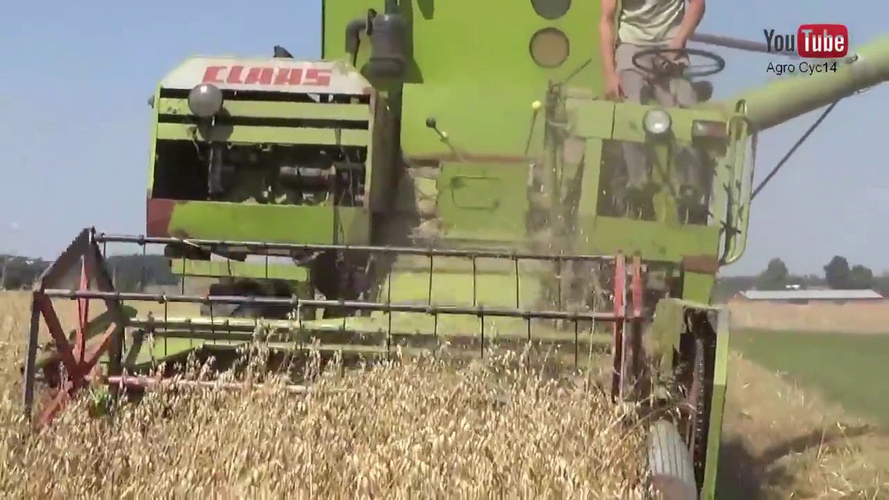 Claas Cosmos koszenie owsa i pszenżyta HD - YouTube