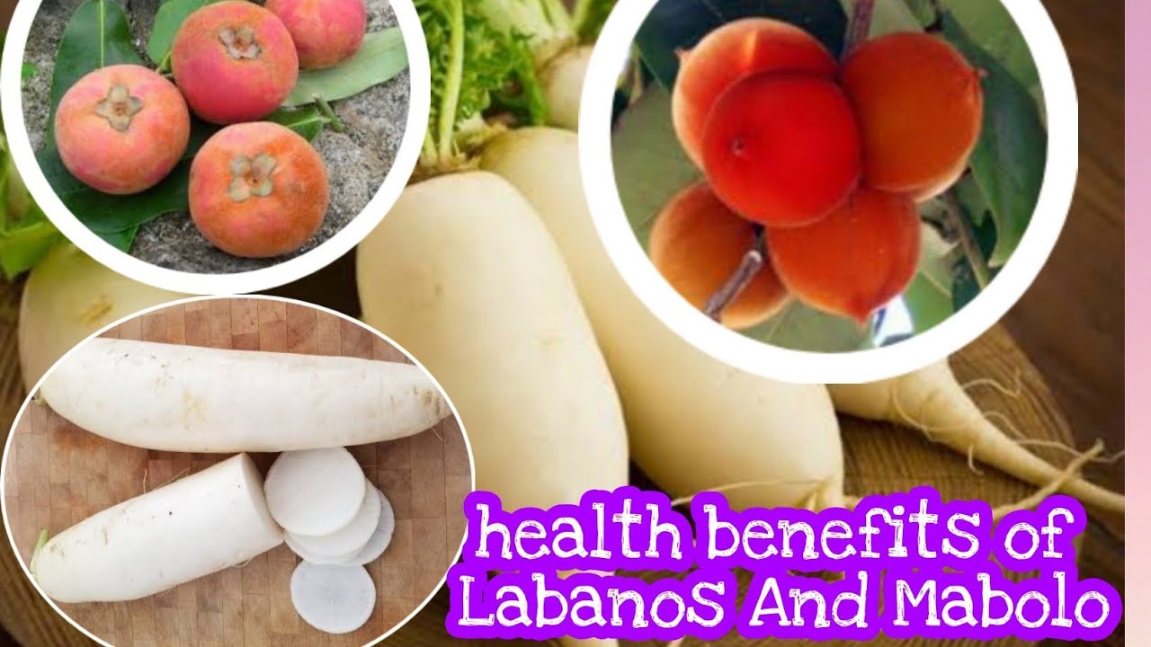 Health benefits of Radish or labanos And Mabolo | MJPVLOGS - YouTube