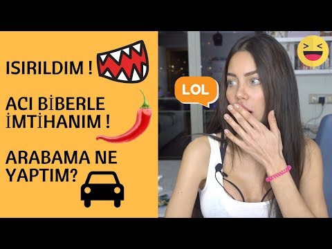 ARABAMIN BAŞINA NELER GELDİ ? ARKADAŞIM BENİ ISIRDI ! (Anı Videosu)