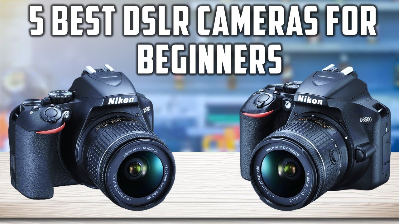Top 5 Best DSLR Cameras For Beginners in 2024 - YouTube