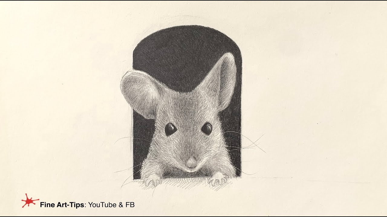HOW TO DRAW A MOUSE - TIMELAPSE - YouTube