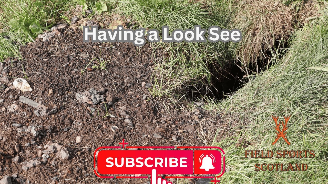 Just Having A Look See - YouTube
