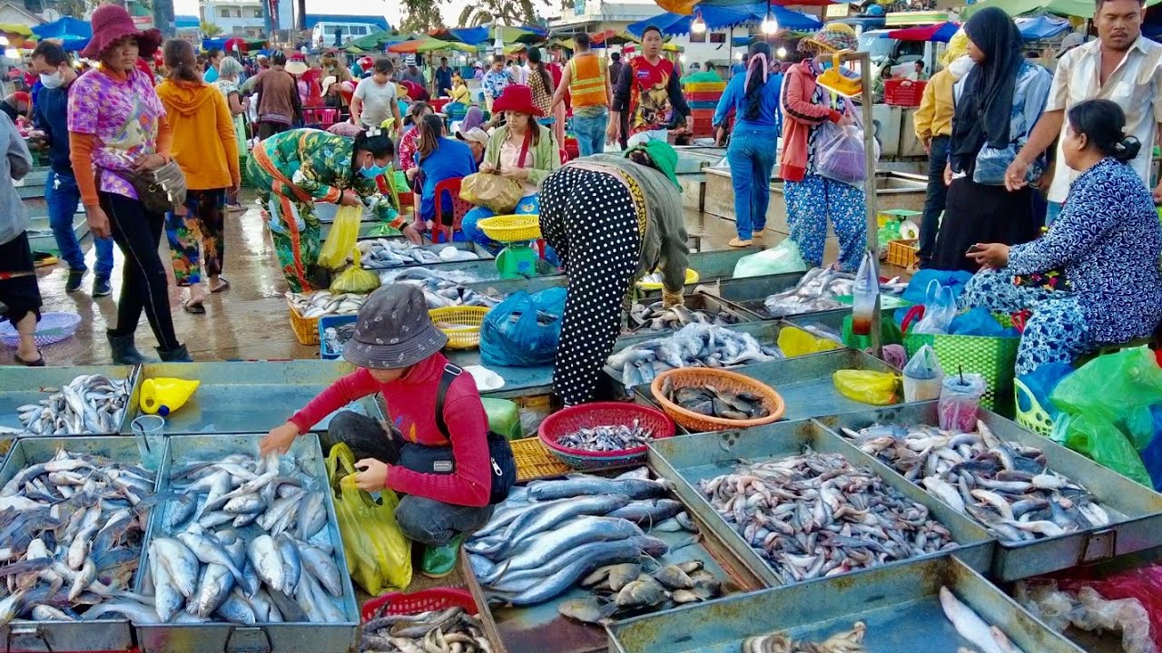 Cambodia's Morning Wet Market Scene: This is Site Wholesale Fish ...