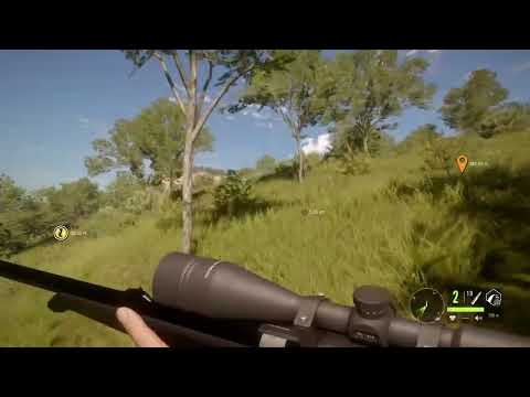 The Hunter Call of the wild choosing the right gun - YouTube