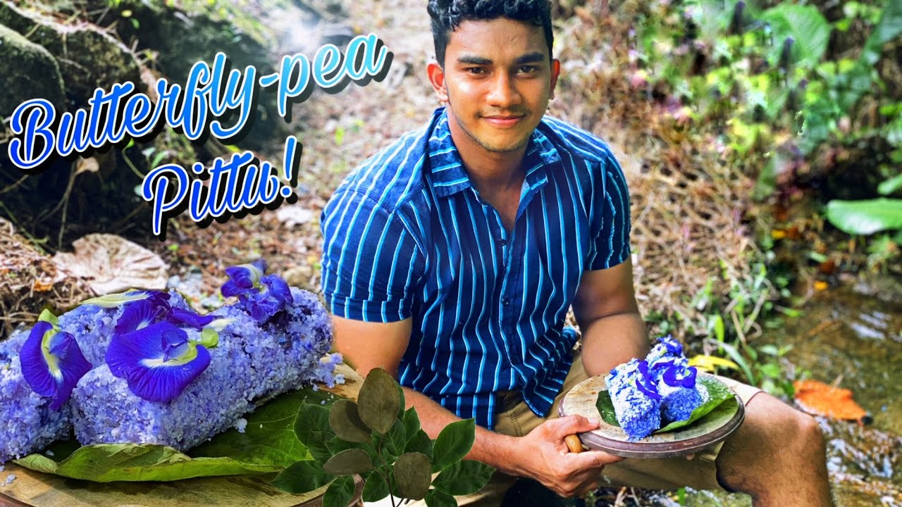 Butterfly Pea Pittu! A new way to enjoy pittu in this New Year ...