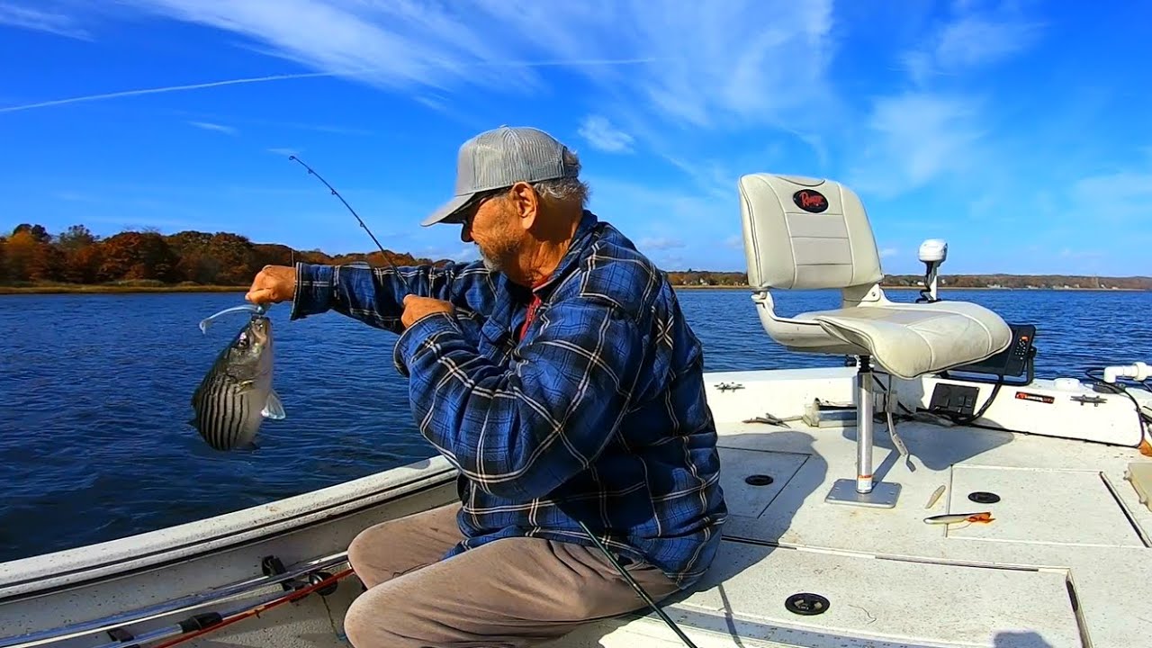 Spoon Feeding Schoolie Stripers in Moving Water - YouTube