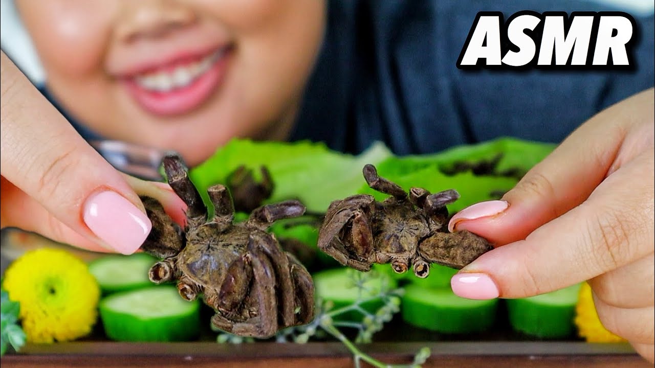 ASMR EATING SPIDERS MUKBANG (EXOTIC FOOD) CRUNCHY EATING SOUNDS + NO ...