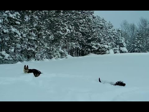 Super deep snow in northern Michigan. - YouTube