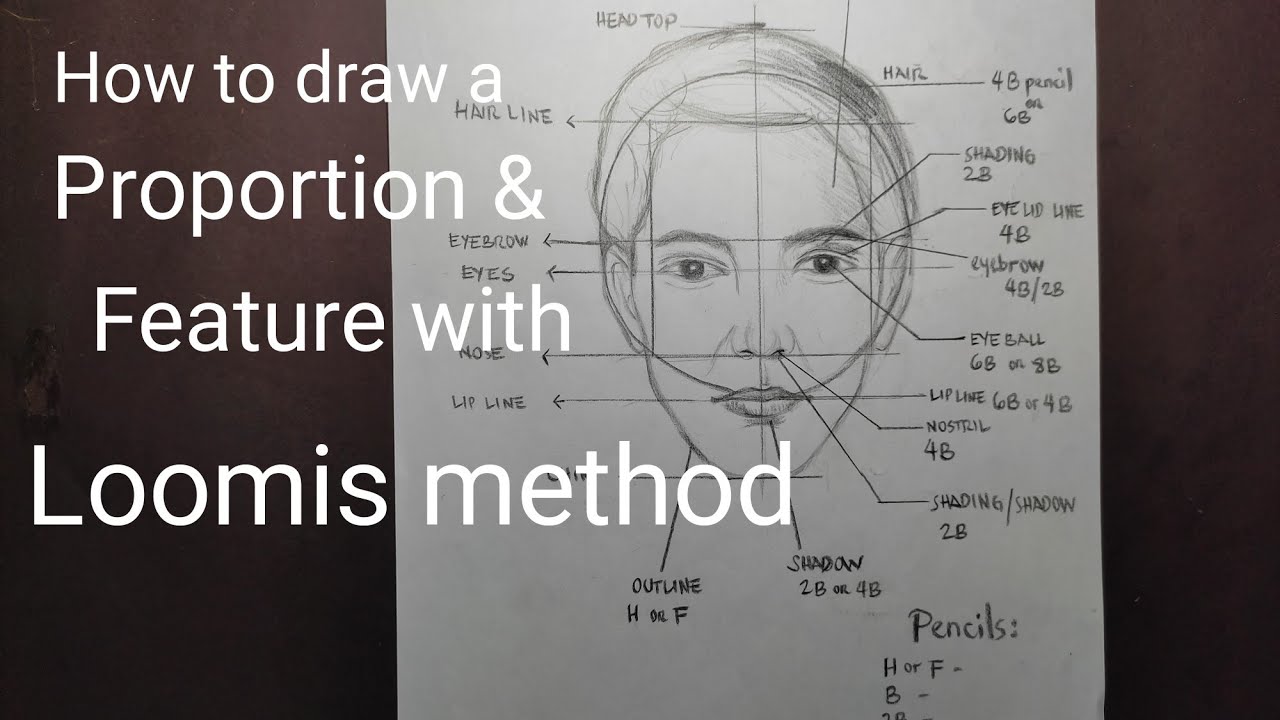 How to draw a Proportion & Feature with Loomis method/timelapse # ...