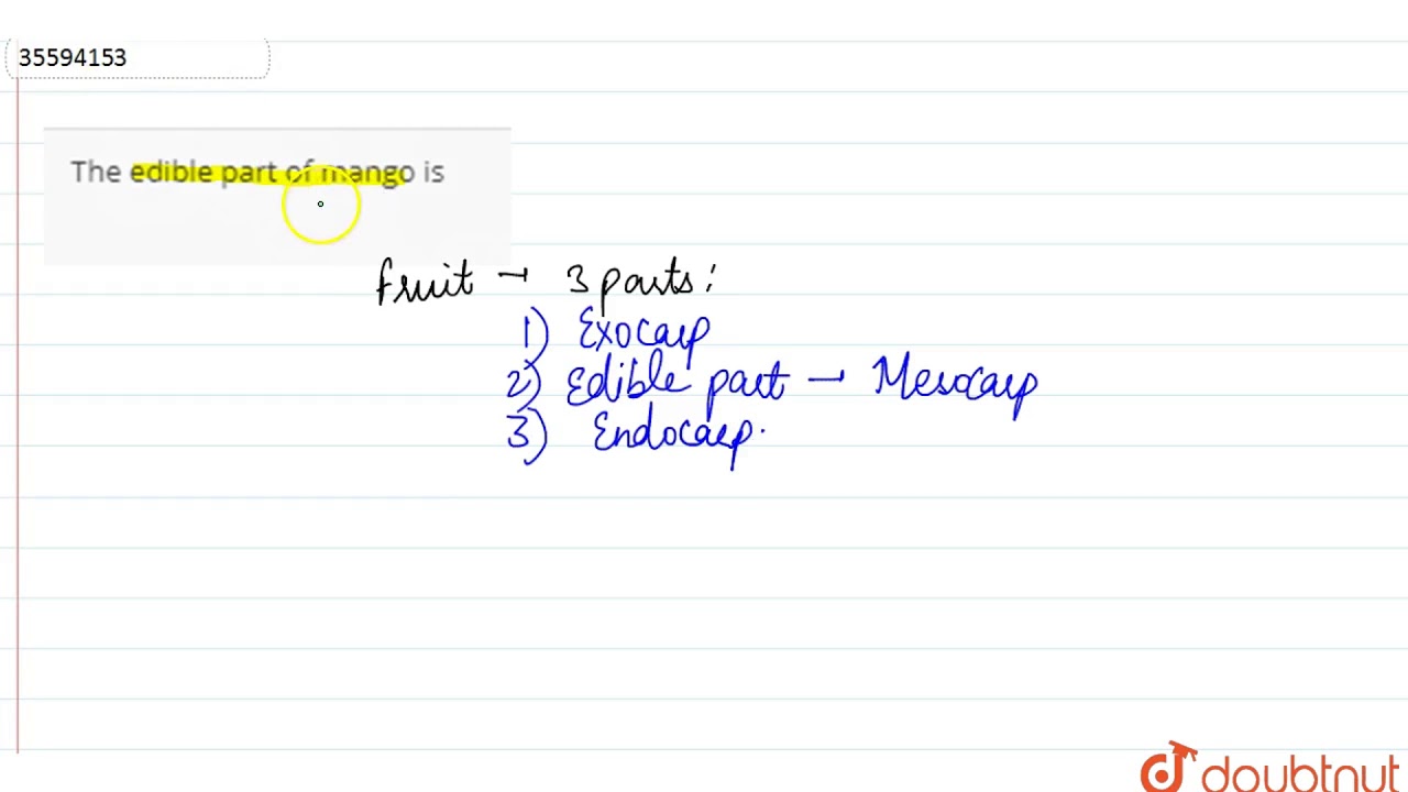 The edible part of mango is - YouTube