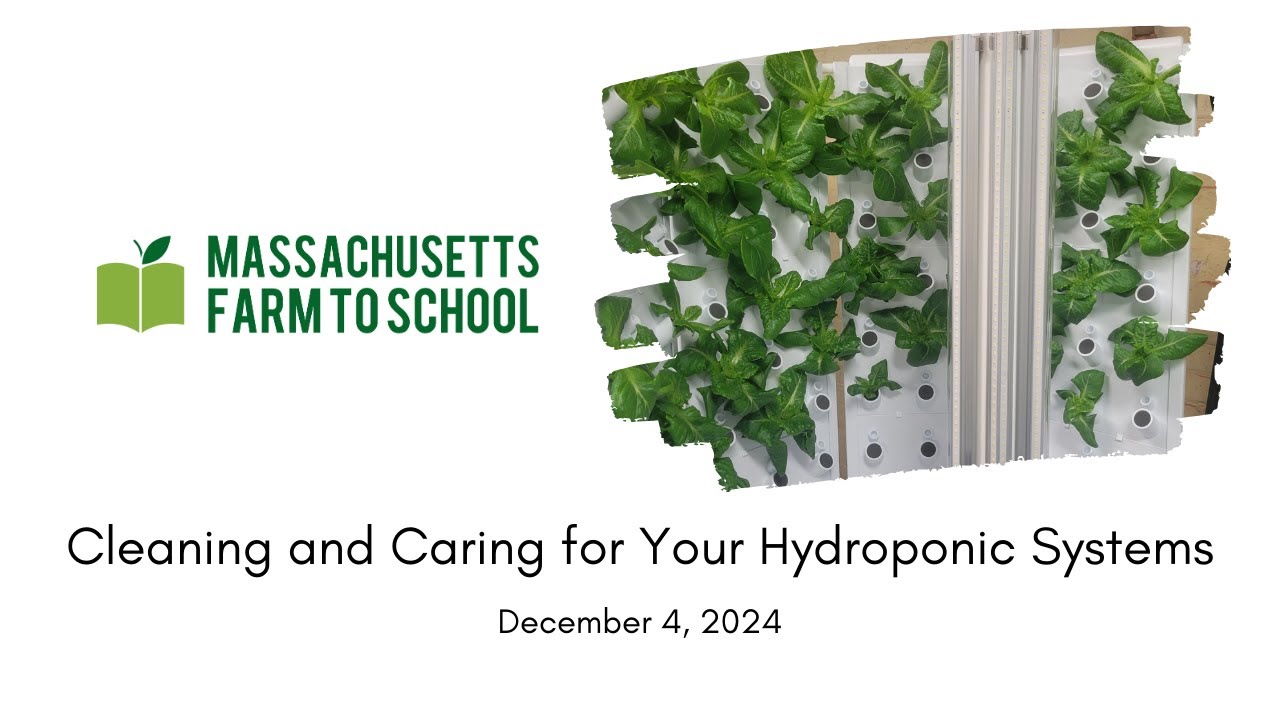 Cleaning and Caring for Your Hydroponic Systems - YouTube