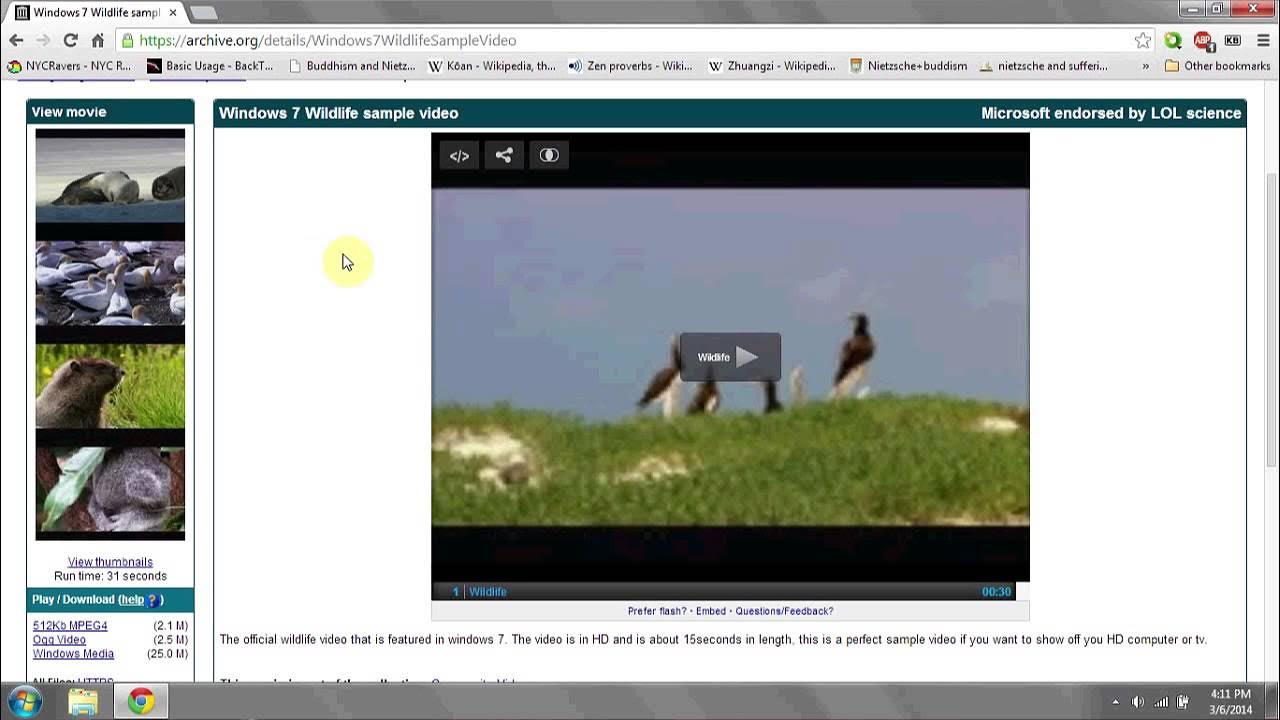 How to Save Videos From the Internet to a Computer : Computer Files ...