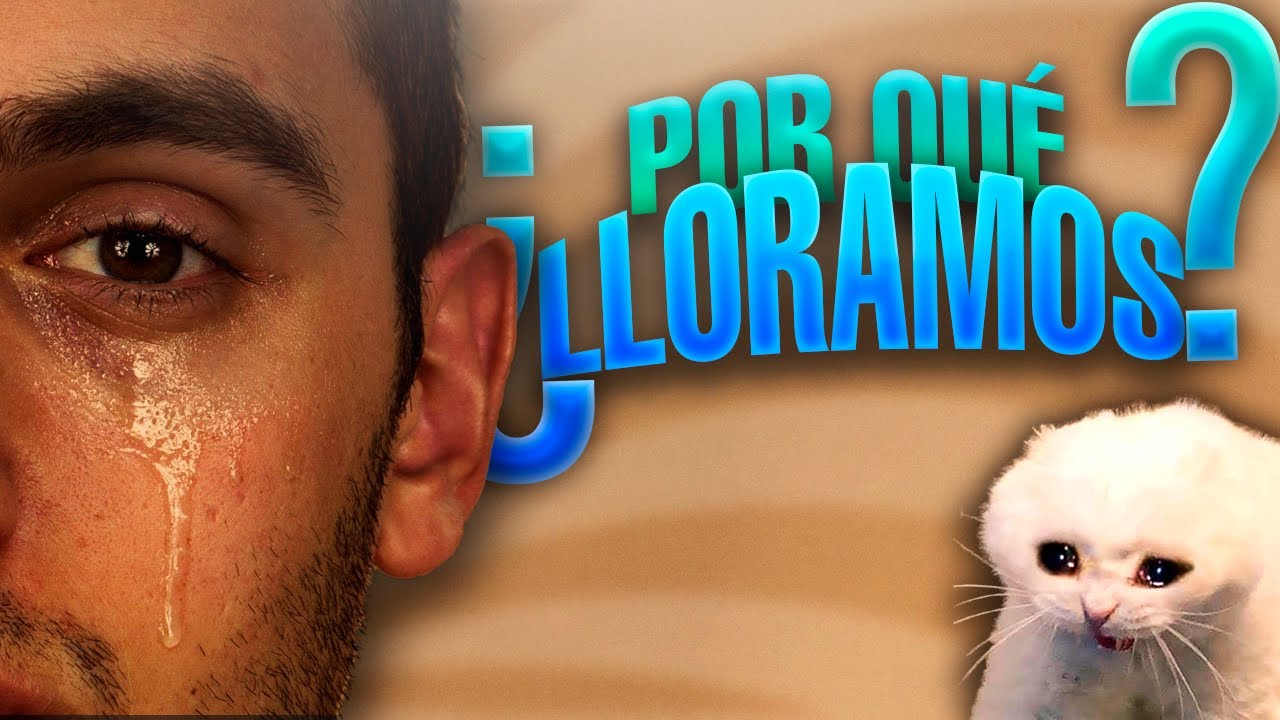 ¿Por qué LLORAMOS? | MERX - YouTube