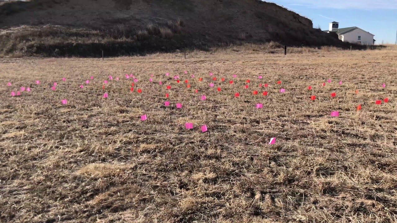 Grid planting proof of concept - plant so that you can cultivate in two ...