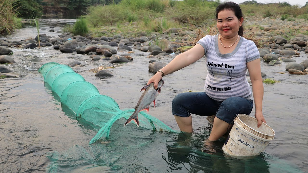 Set up a stone and net trap to catch fish - YouTube